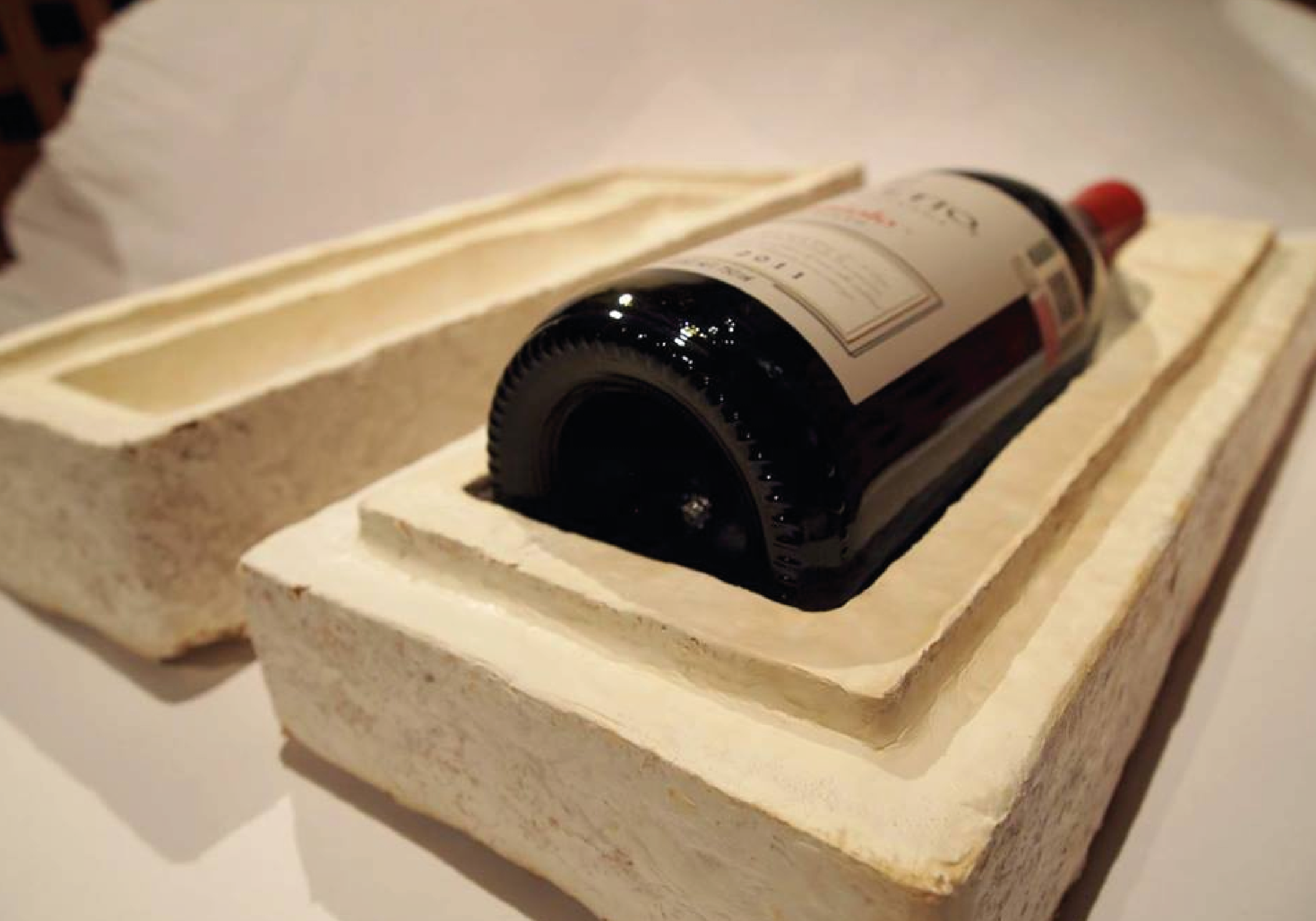 Polybion crea biomateriales para transformar al mundo - Disruptivo.tv